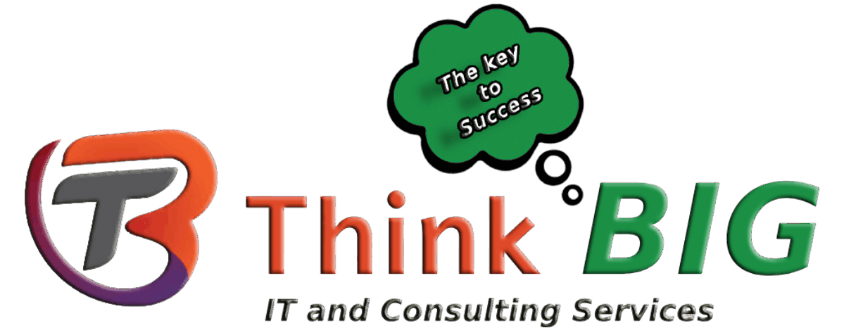 What We Do – ThinkBig